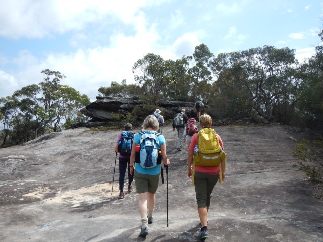 Do Sydney’s Great North Walk one leg at a time | Briar's Travel Beat